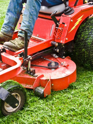 Small Engine Titans | Tea, SD