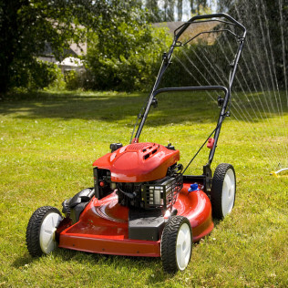 Small Engine Titans | Tea, SD