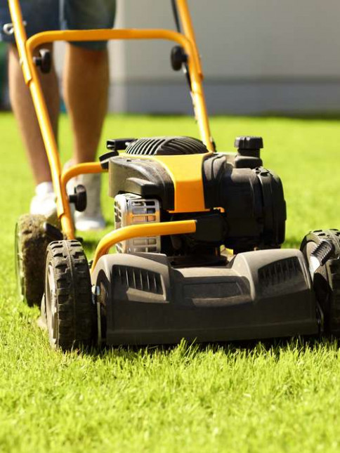 Small Engine Titans | Tea, SD